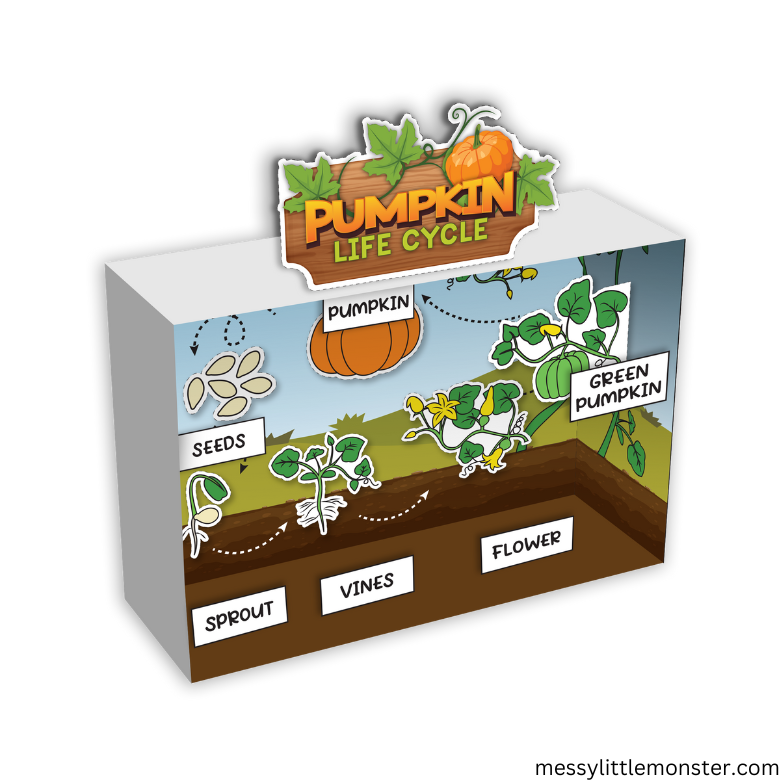 3D Life Cycle of a Pumpkin Printable Craft – Messy Little Monster Shop