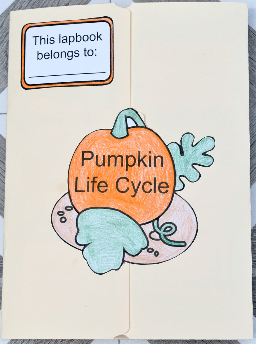 Pumpkin Life Cycle Lap Book Printables – Messy Little Monster Shop