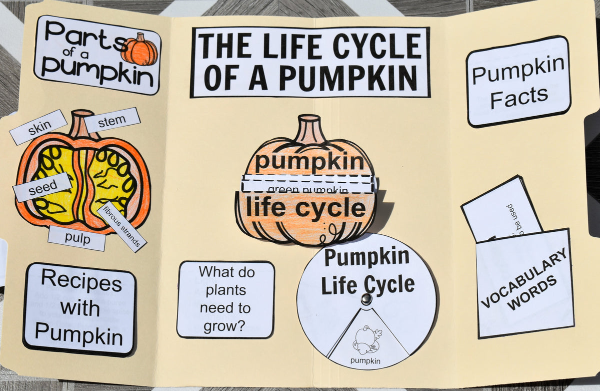 Pumpkin Life Cycle Lap Book Printables – Messy Little Monster Shop