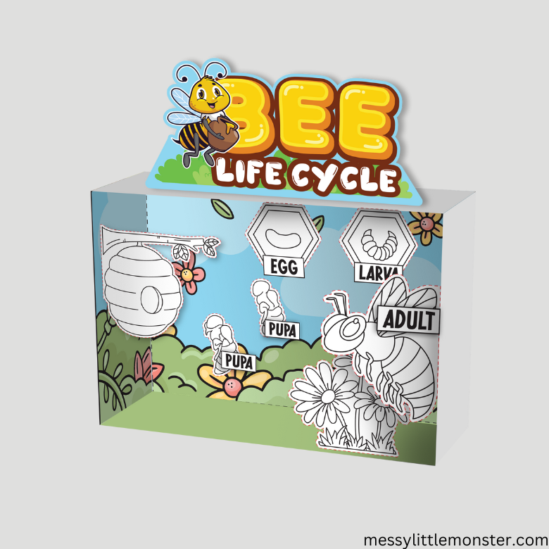 3D Life Cycle of a Bee Printable Craft – Messy Little Monster Shop