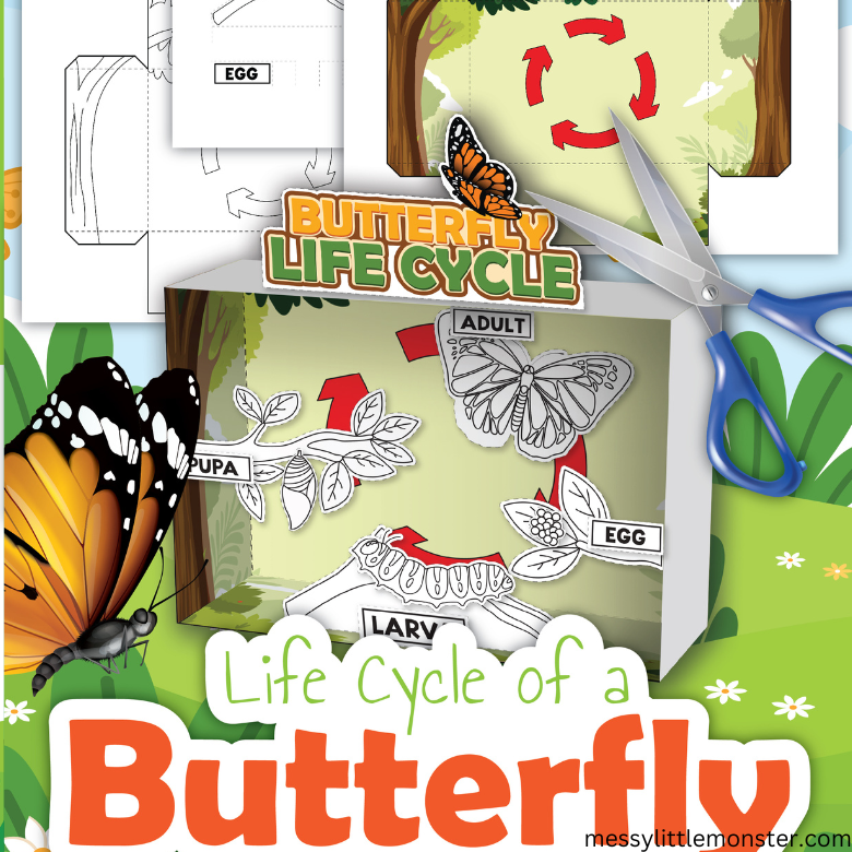 Life Cycle Of A Butterfly Craft Womple Studios | DIY Butterfly Life