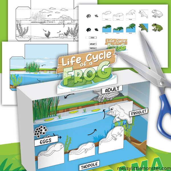 3D Life Cycle of a Frog Printable Craft – Messy Little Monster Shop