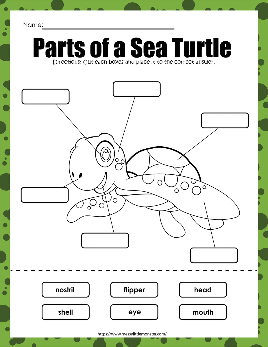 Sea Turtle Printable Activities – Messy Little Monster Shop