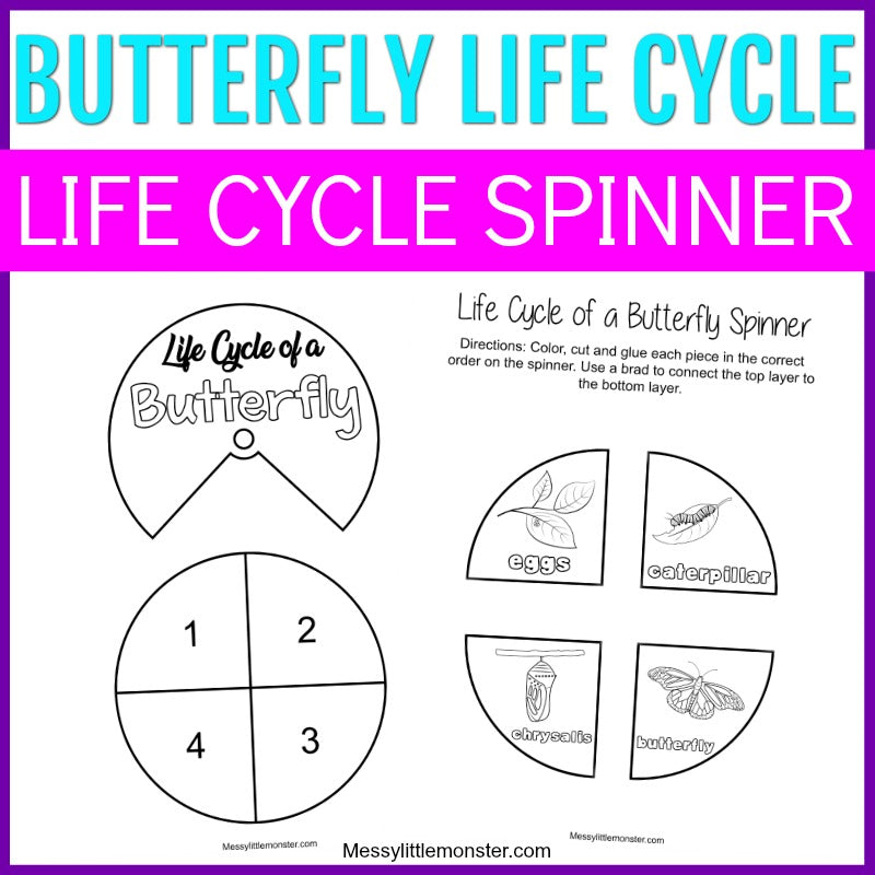 Butterfly Life Cycle Spinner – Messy Little Monster Shop
