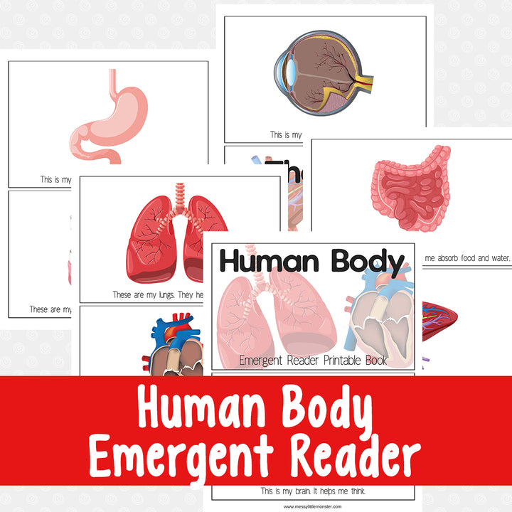 Science – Tagged "human body" – Messy Little Monster Shop