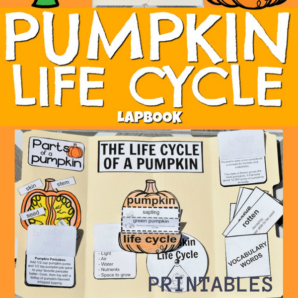 Pumpkin Life Cycle Lap Book Printables – Messy Little Monster Shop